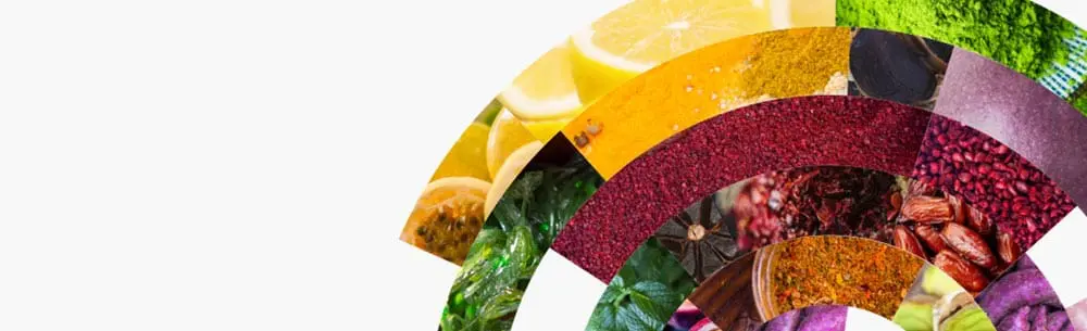 [WATCH] Mintel Food Analysts discuss the evolution of Flavor Trends ...