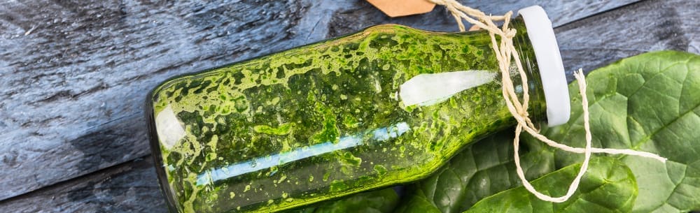 Lacto-fermented juices in Germany | Mintel