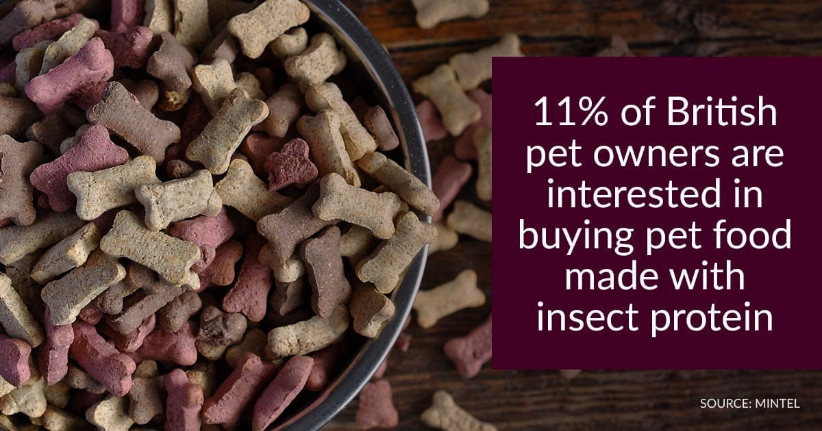 Is insect protein the future of pet food? | Mintel