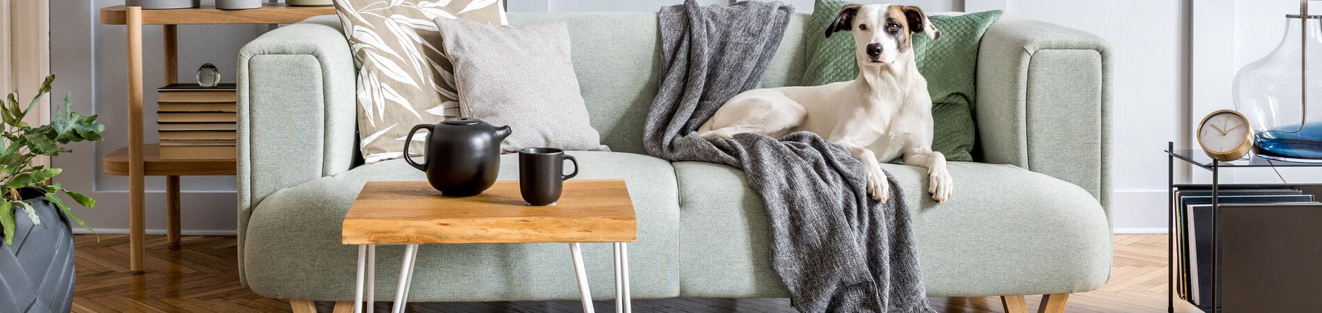 UK Homeware Trends Report | Mintel