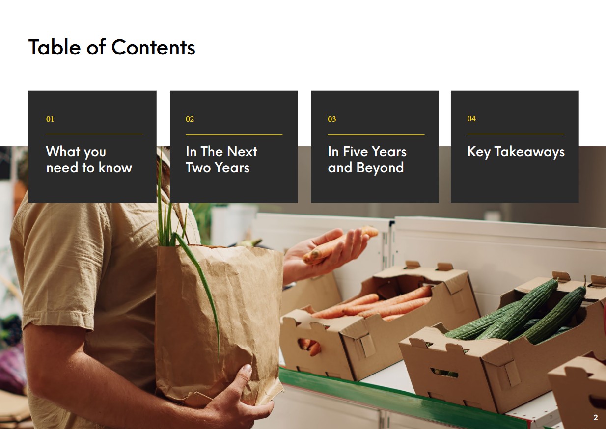 Predictions On The Future Of Flavors 2025